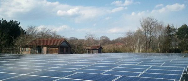 ReneSola to build 550 MW globally in 2017 – pv magazine International