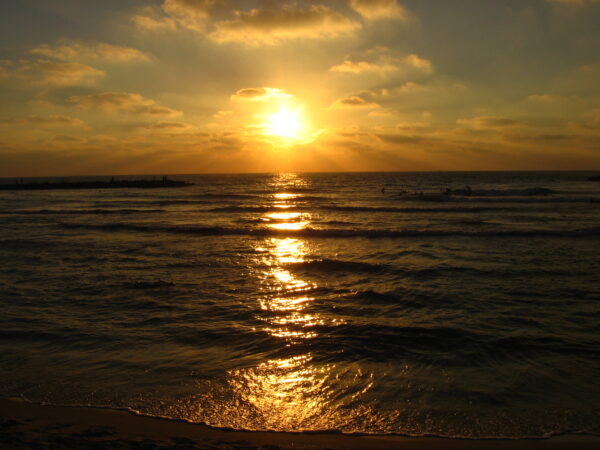Israel: 120 MW solar plant to be constructed by Belectric Isreal and ...