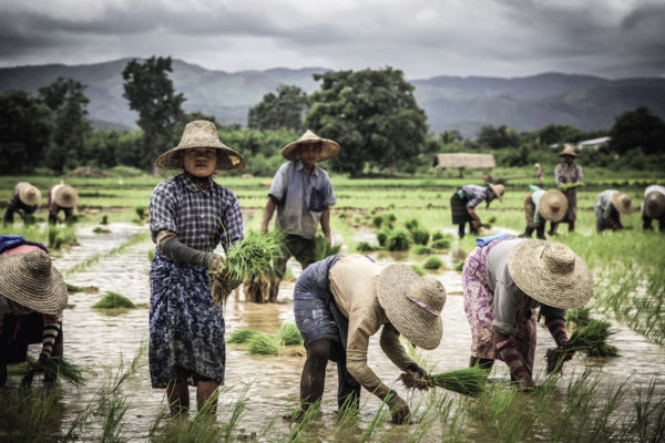 130 MW solar project announced in Myanmar – pv magazine International