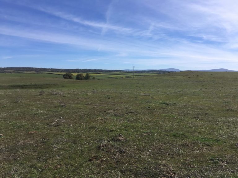 FVR closes financing for 50 MW of solar in Spain – pv magazine ...