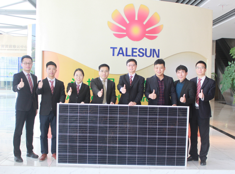 Talesun Solar Launches Super PV Module – pv magazine International