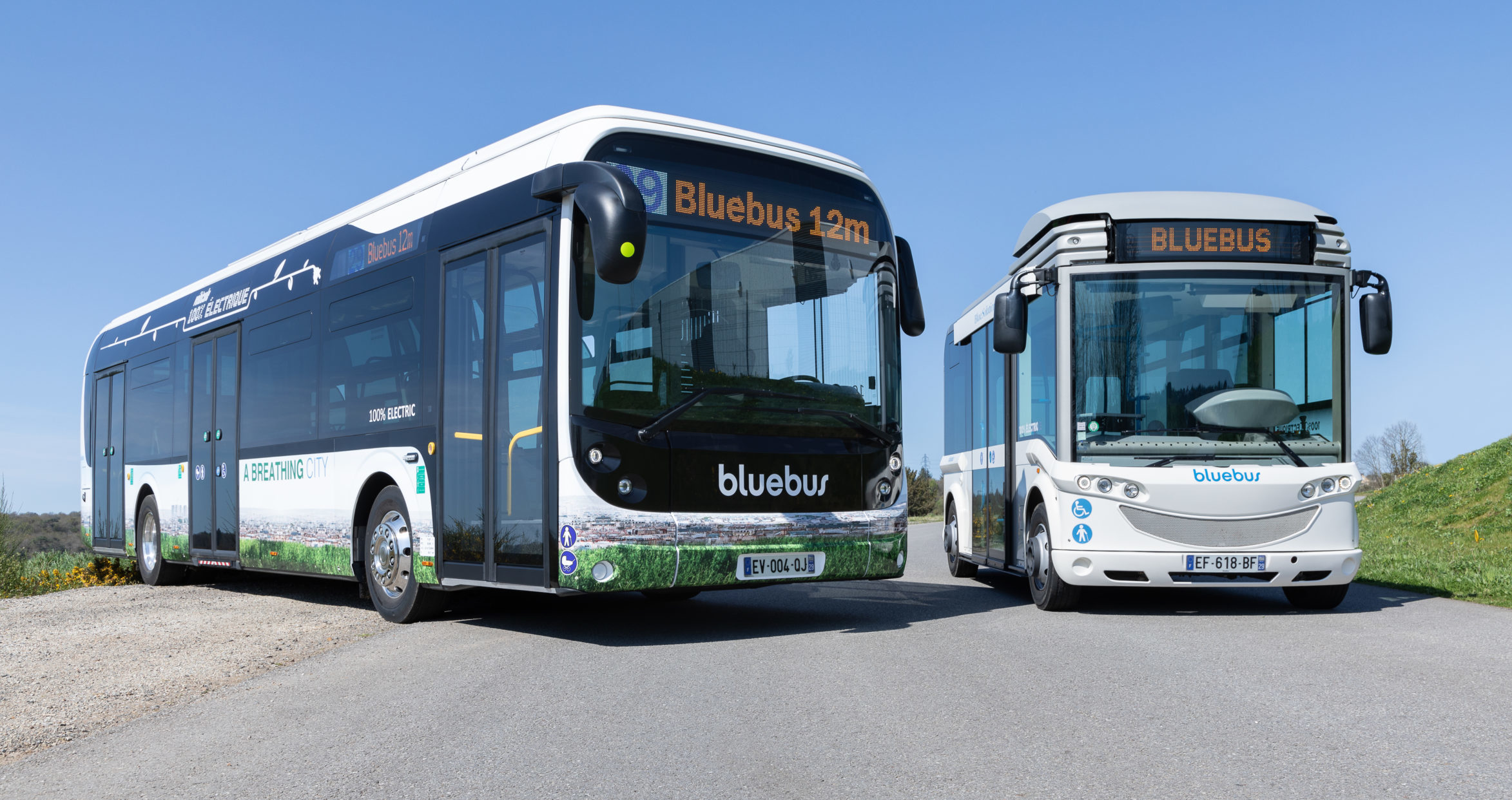 Blue Solutions on why it’s betting on solid-state batteries – pv ...