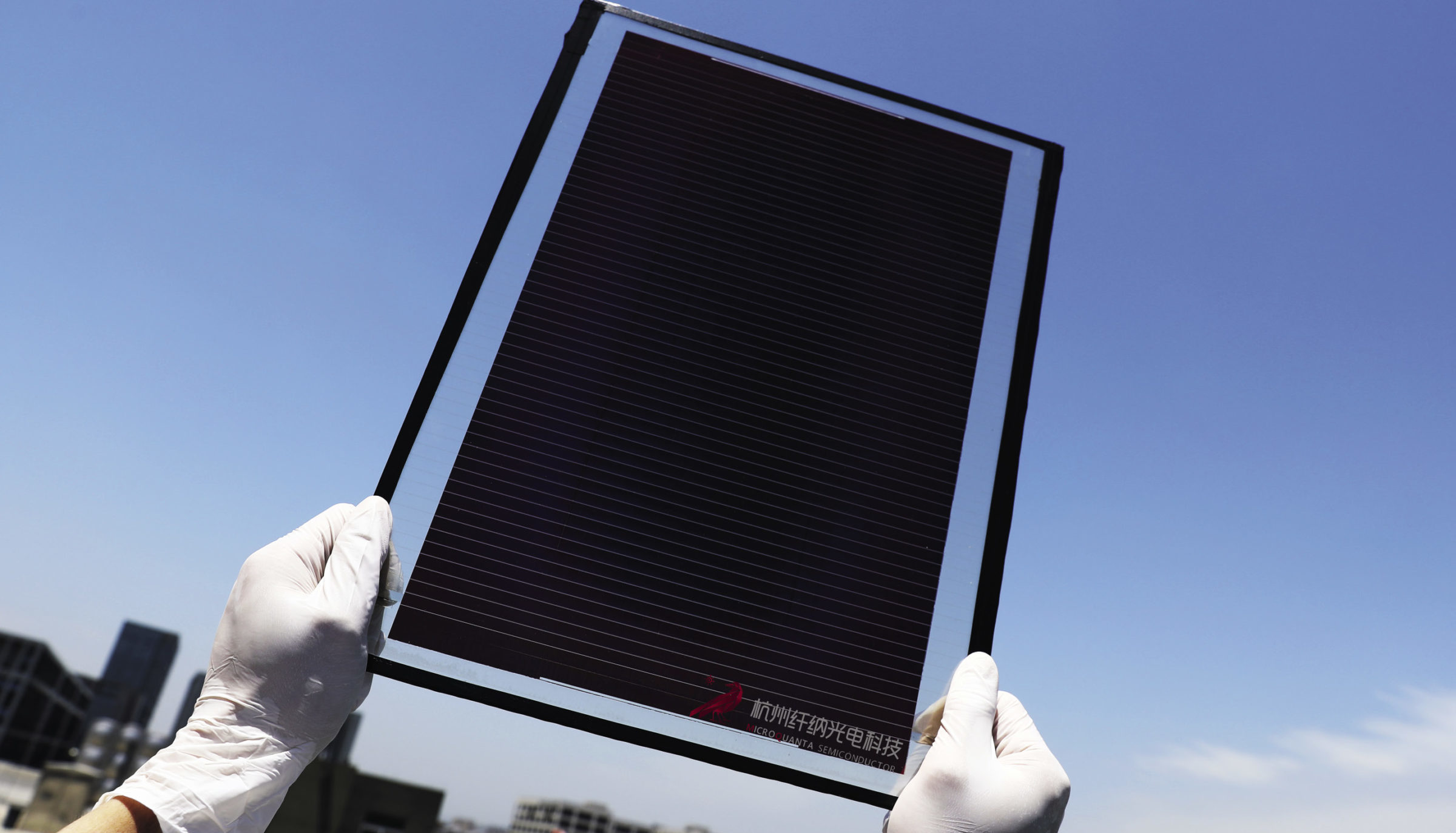 Chinese PV Industry Brief: Microquanta builds 12 MW ground-mounted ...