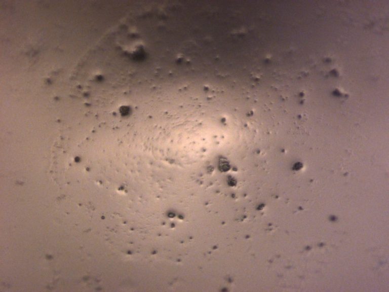 Assessing the impact of micro-cracks in solar glass – pv magazine ...