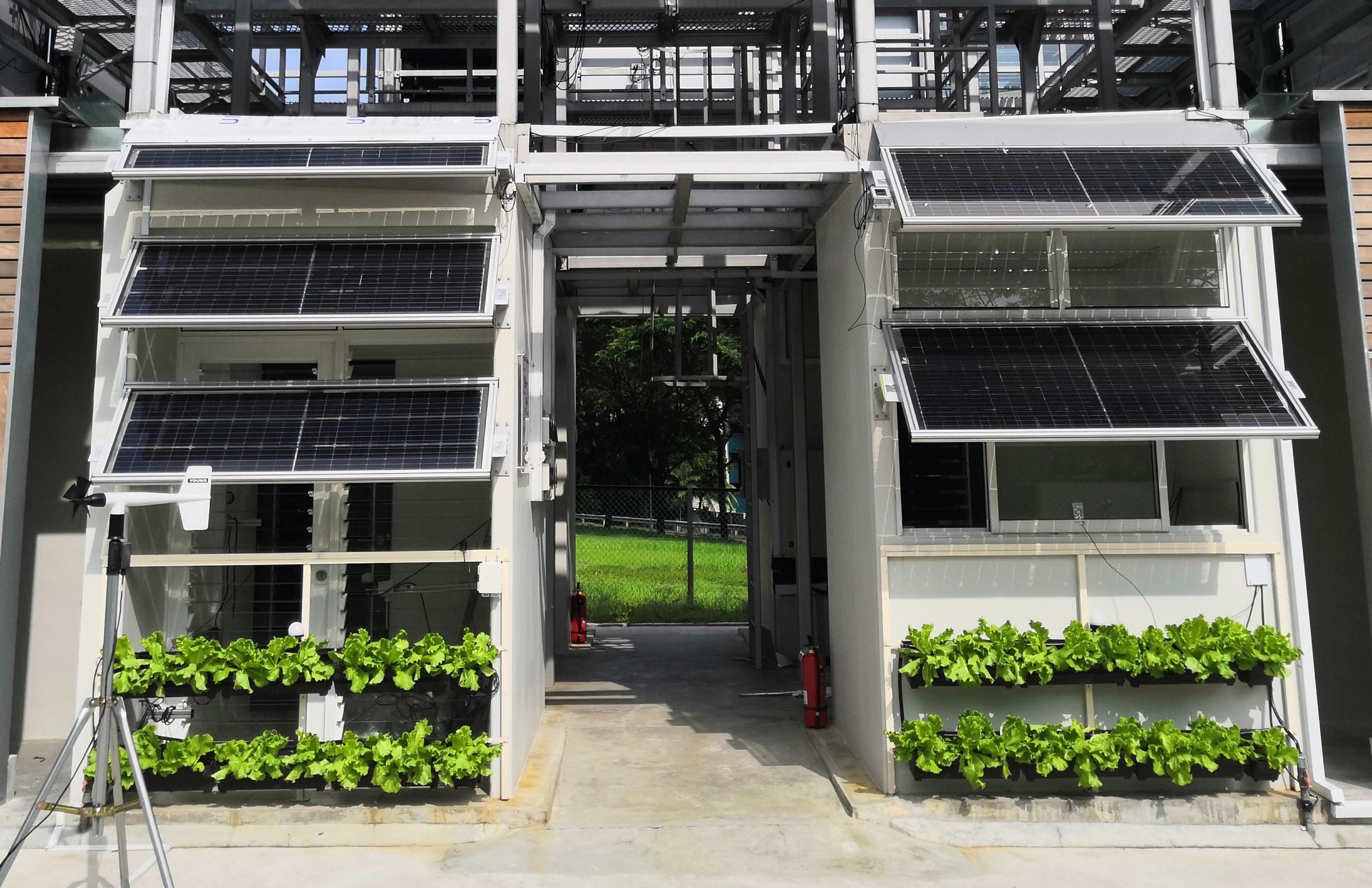 Raising crops in PV facades – pv magazine International