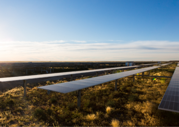 Reports of backsheet failures at 75 MW Mulilo Sonnedix Prieska solar ...