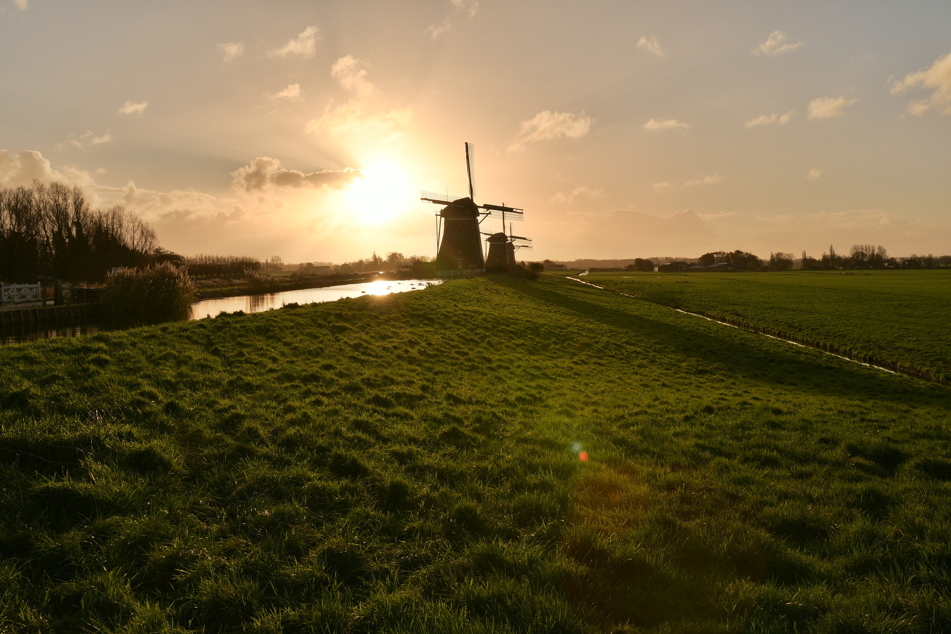 Dutch grid operator expects up to 34 GW of solar by 2030 – pv magazine ...