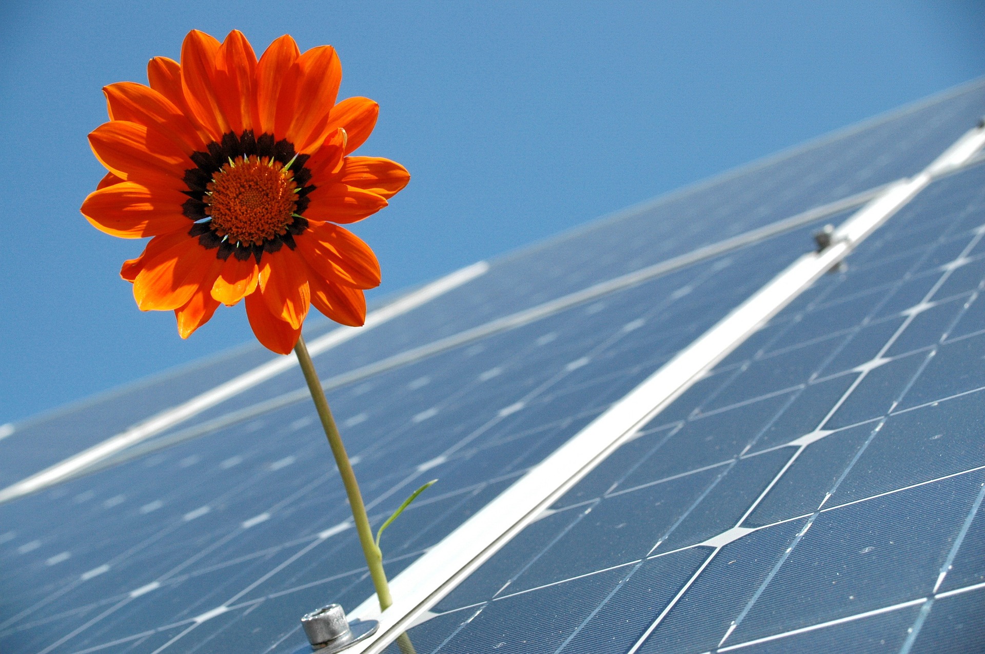 New method for life cycle assessment of PV technologies – pv magazine ...