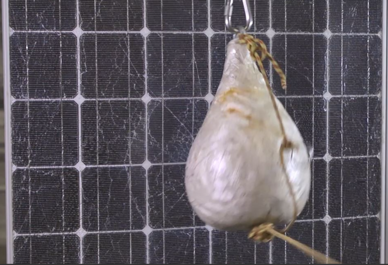 Light and shade of 500 W plus solar panels – part IV – pv magazine ...