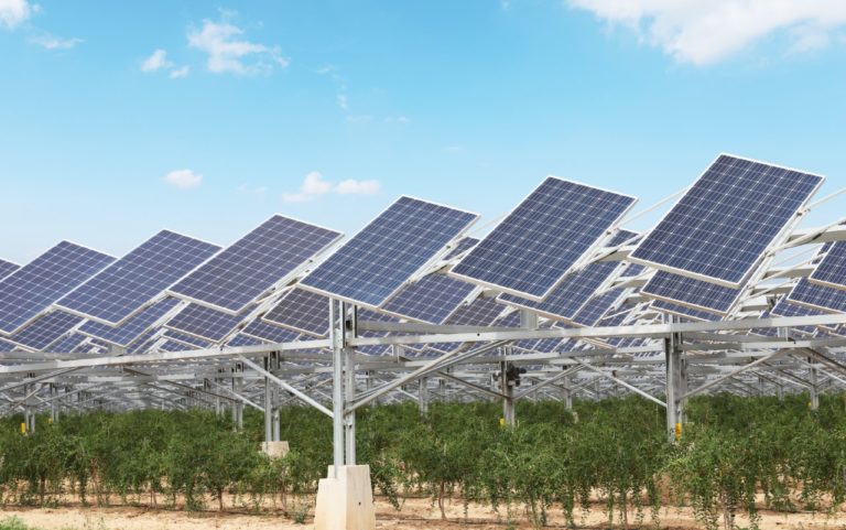 Giant agrivoltaic project in China – pv magazine International