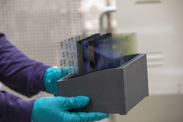 Armor announces 26% efficiency for organic solar cell – pv magazine ...