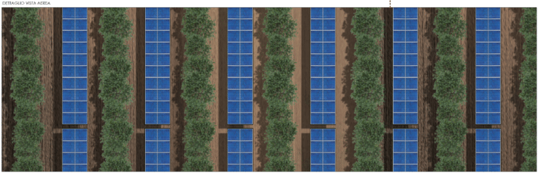 Integrating big solar into olive groves – pv magazine International