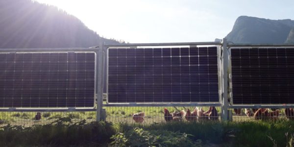 Next2Sun unveils bifacial photovoltaic fence – pv magazine International