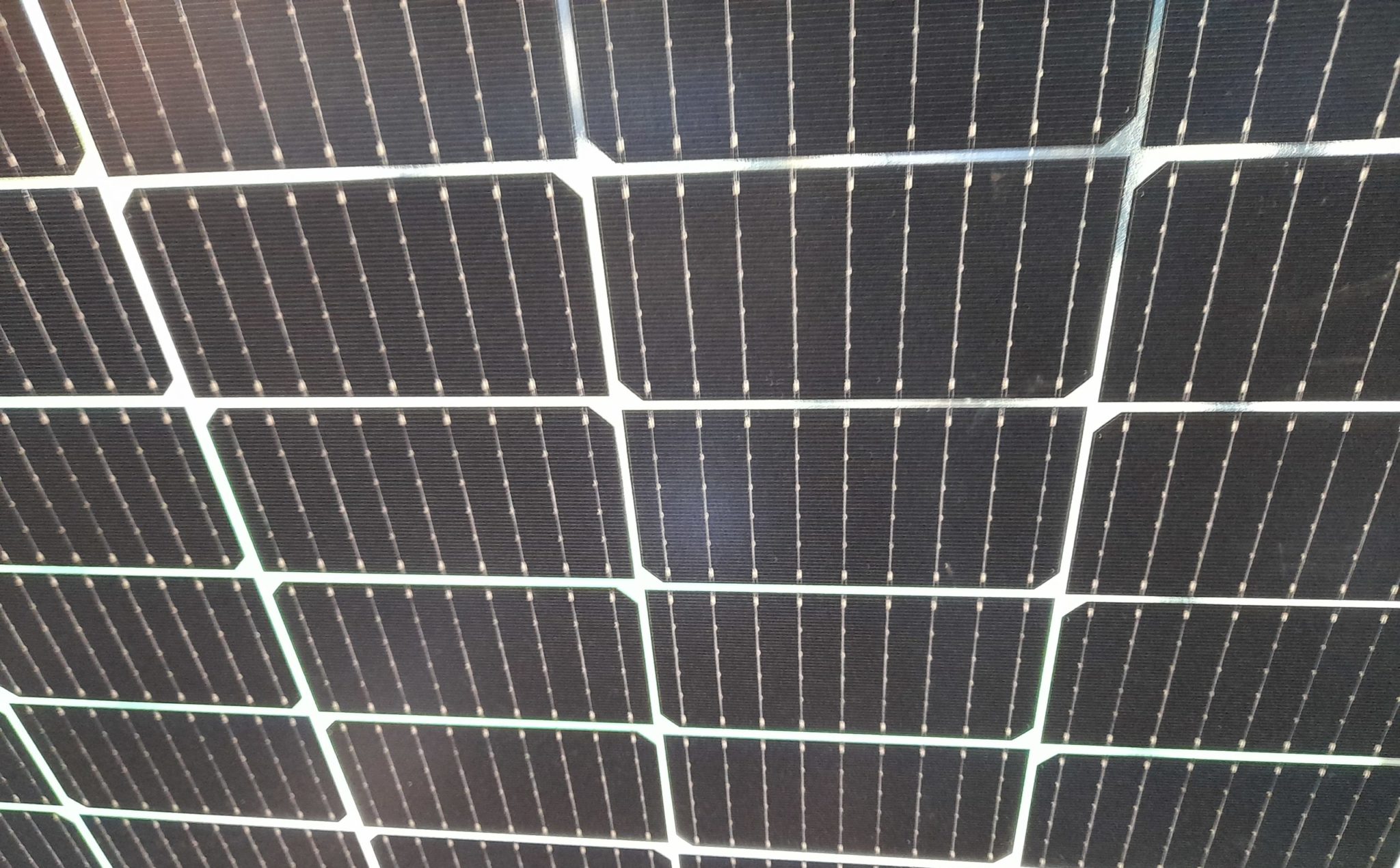 Russian group starts building 1.3 GW solar factory in Kaliningrad – pv ...