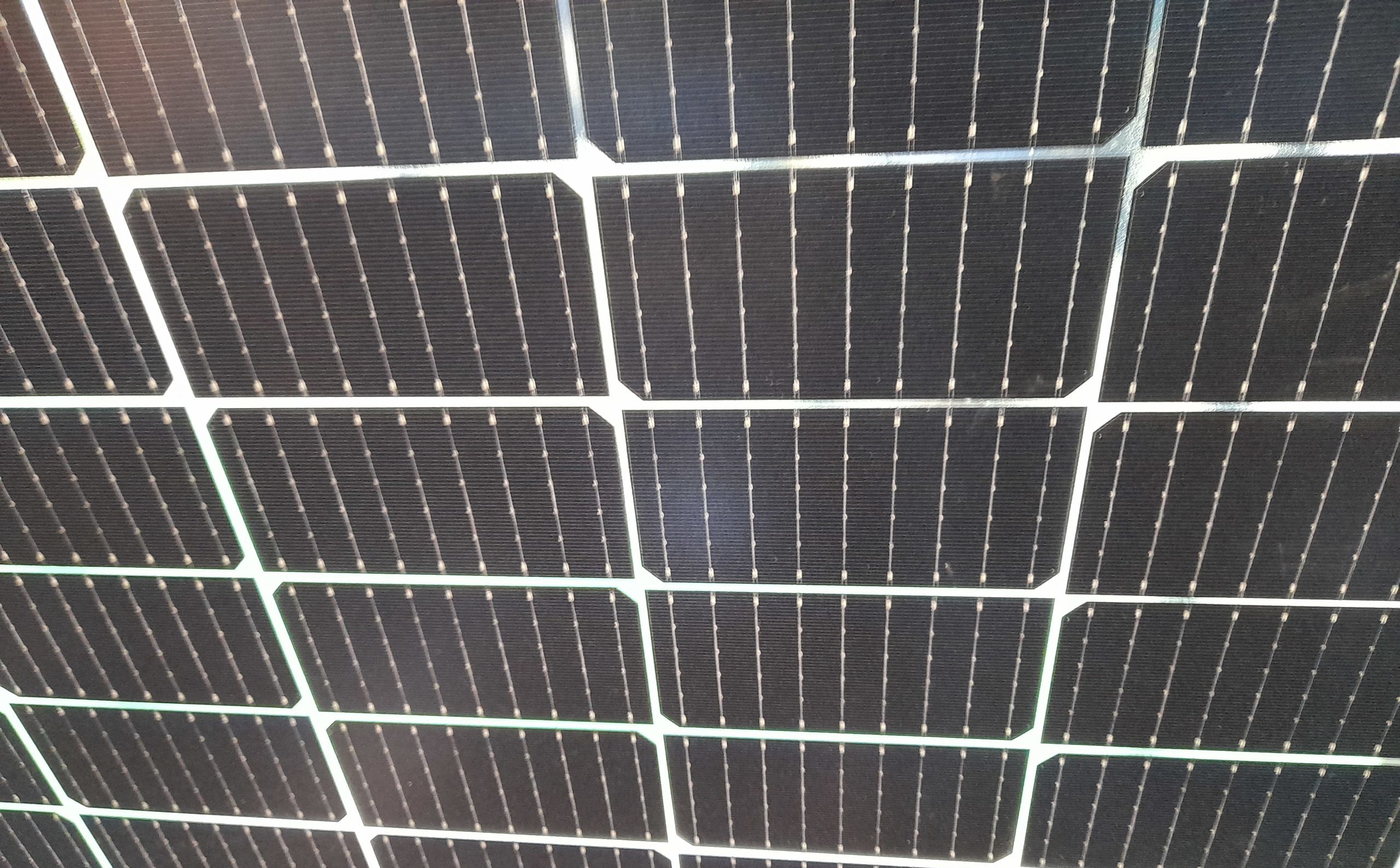 Russian group starts building 1.3 GW solar factory in Kaliningrad – pv ...