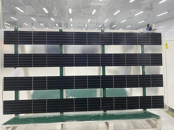 Vietnamese manufacturer unveils PV module for agrivoltaics – pv ...