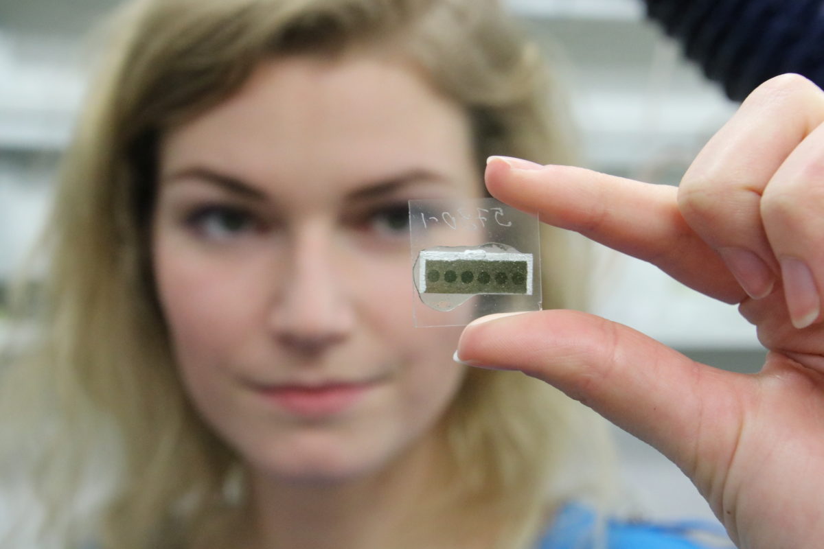 A solar cell you could make on the moon – pv magazine International