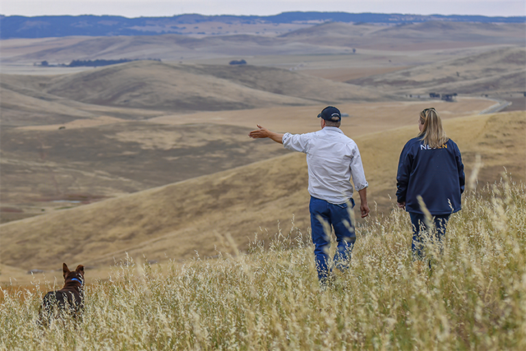Neoen starts work on South Australia’s largest renewable energy project ...