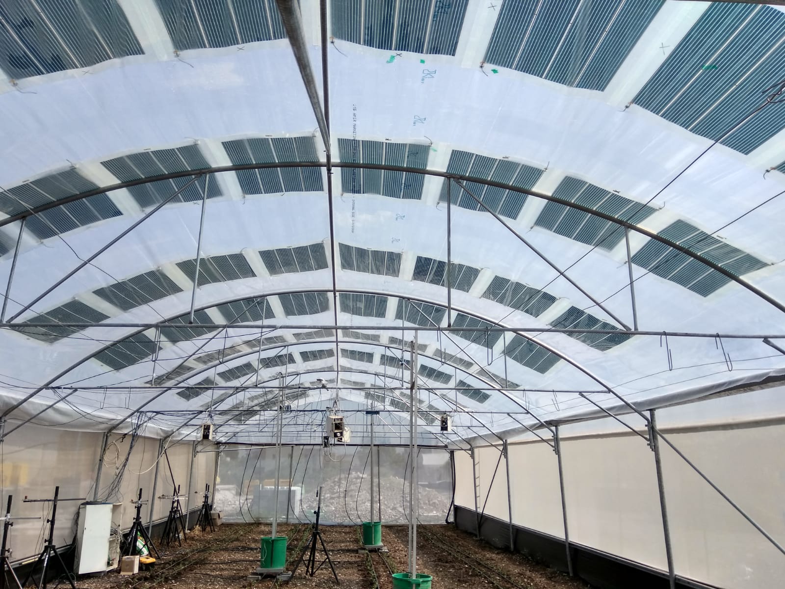 Solar for polytunnel greenhouses – pv magazine International