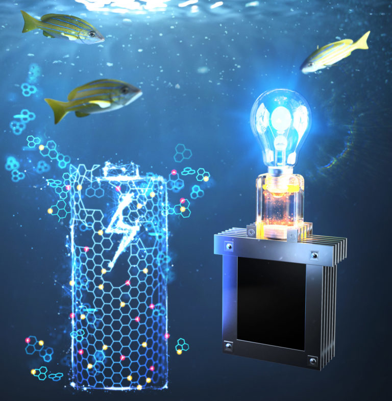 High performance seawater batteries based on novel anode material – pv ...
