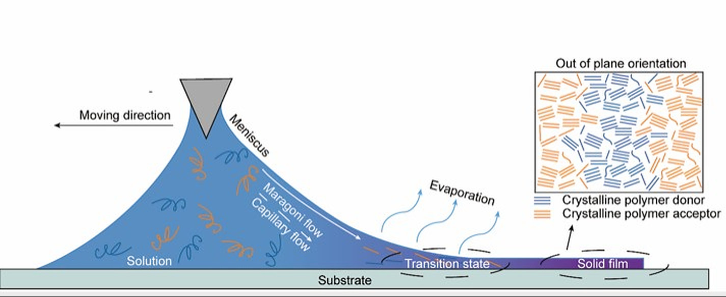 All-polymer solar cell with 15.53% efficiency via meniscus-assisted ...
