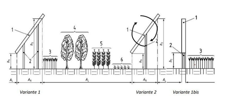 Italian solar sector defines standards for agrivoltaics – pv magazine ...