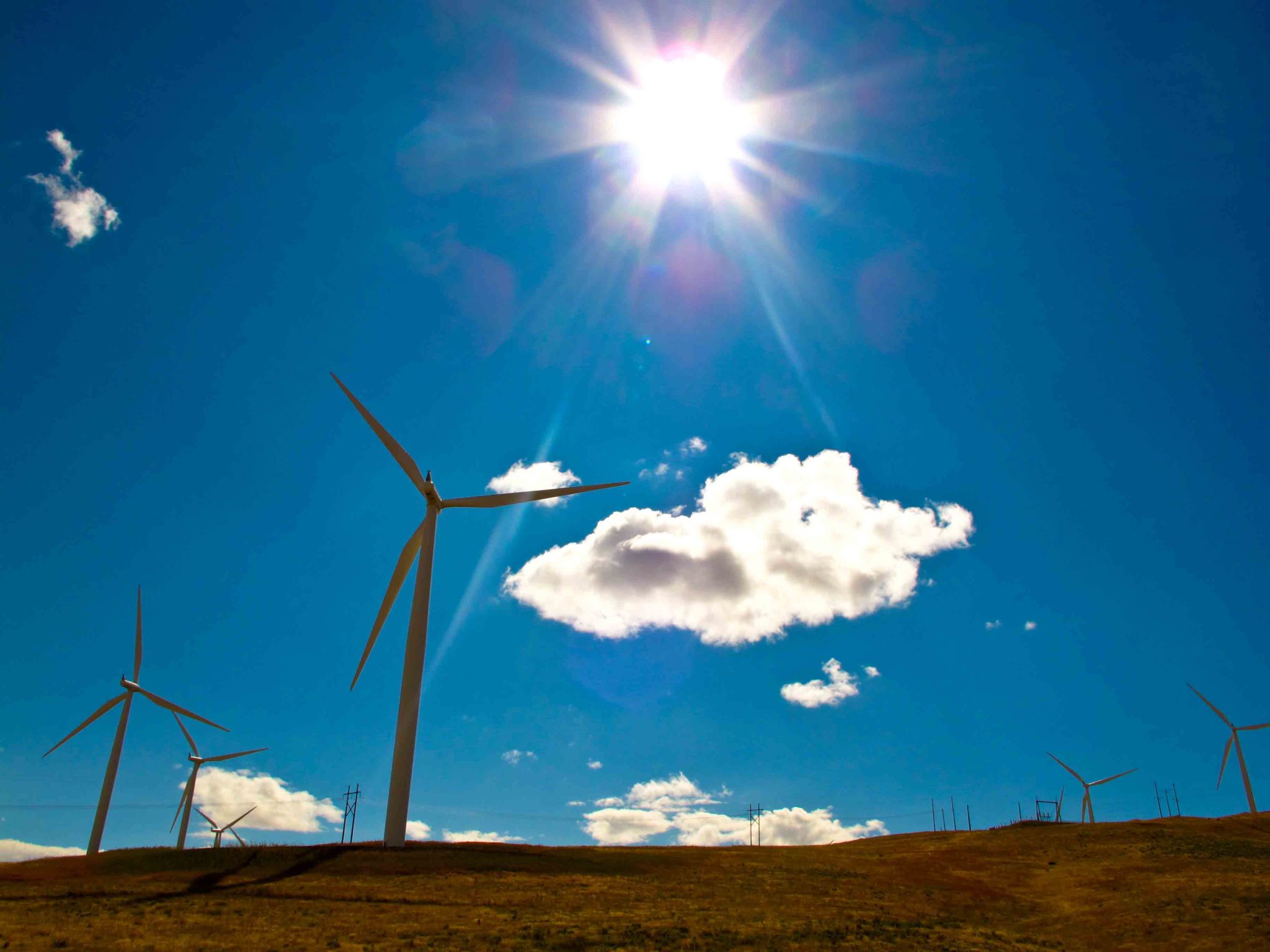 Shell to build 100 MW hybrid wind-solar project – pv magazine International
