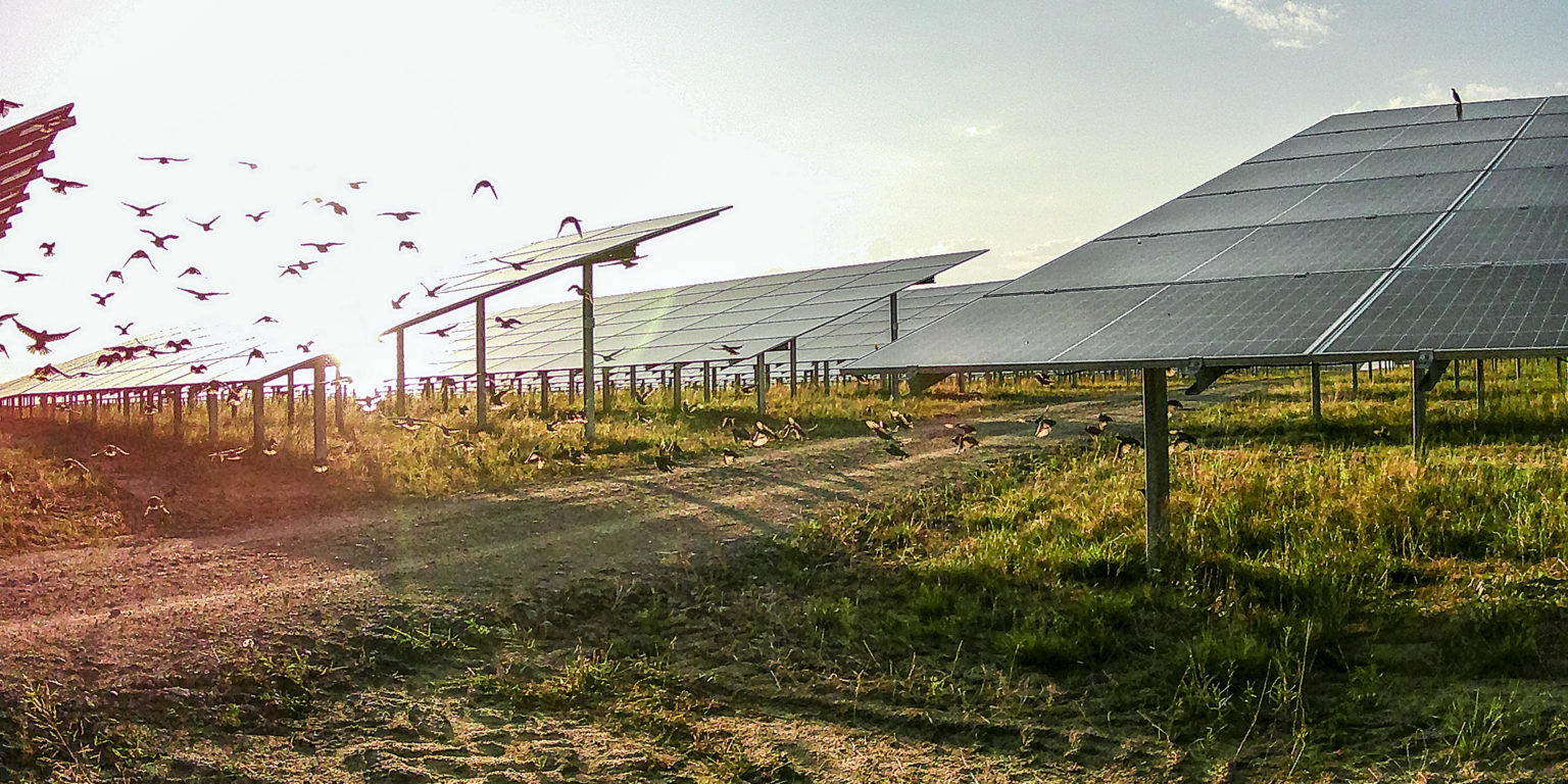 Germany deployed 553 MW of solar in April – pv magazine International