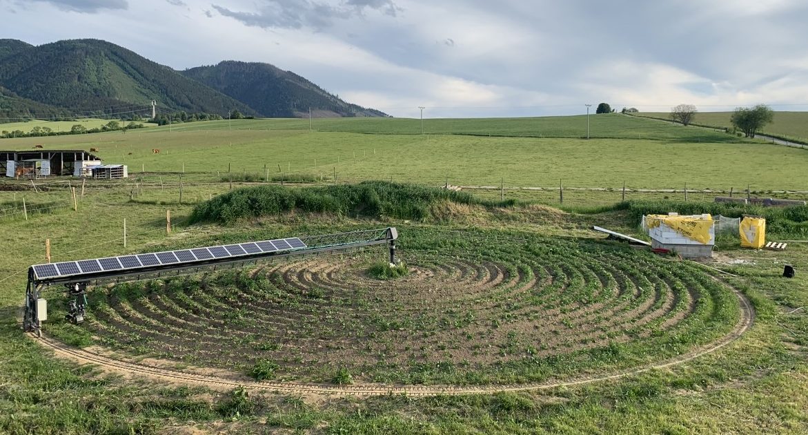 Solar arm for agrivoltaic applications – pv magazine International