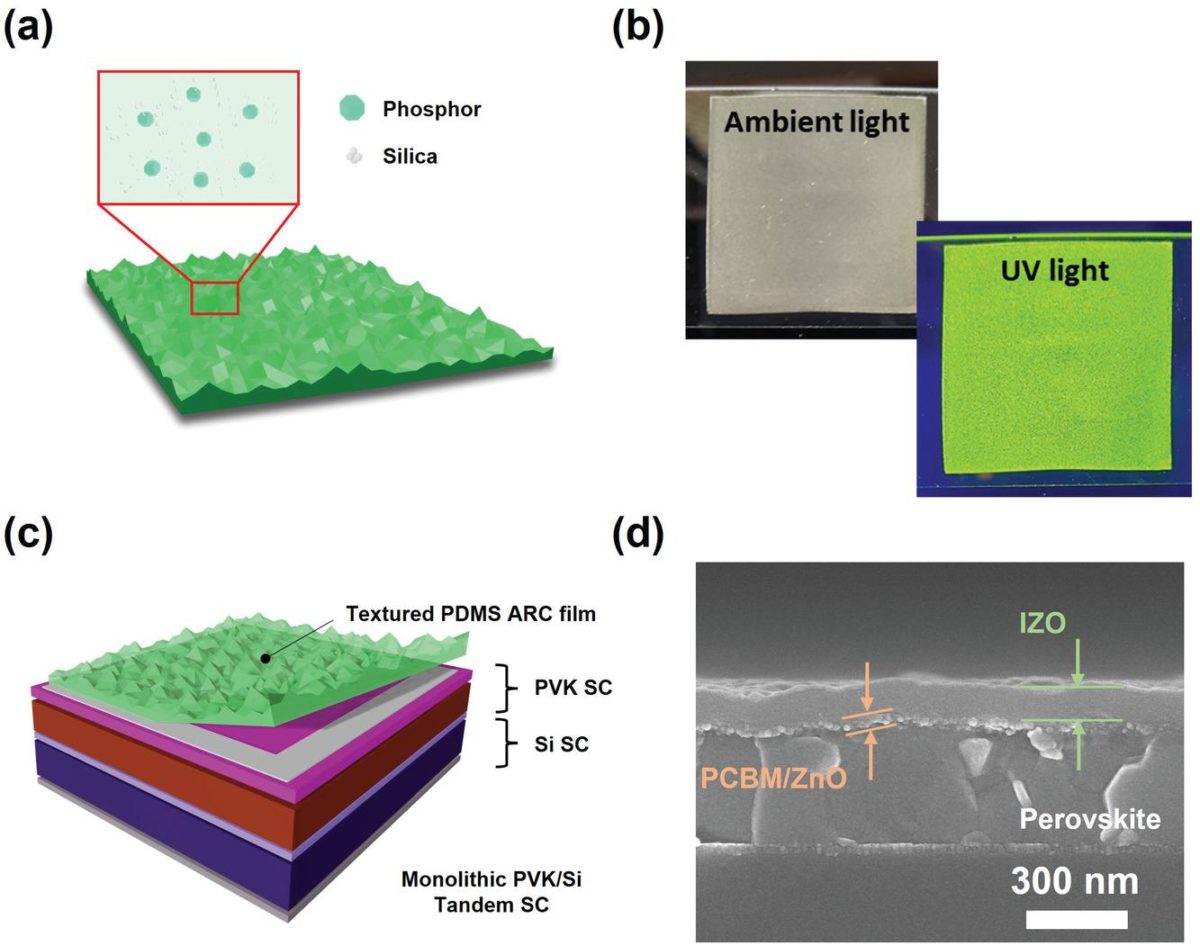 Perovskite-silicon tandem solar cell with 23.5% efficiency – pv ...