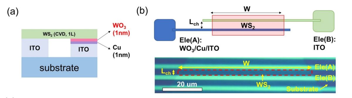 Near-invisible solar cell based on tungsten disulfide photoactive layer ...