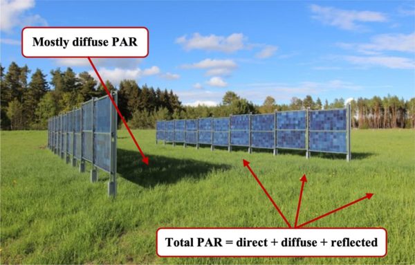 New models to predict crop yields in agrivoltaics – pv magazine ...