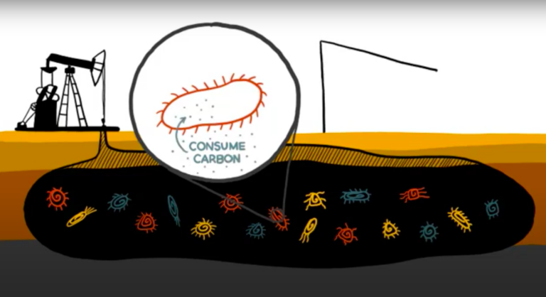 The Hydrogen Stream: Biotech startup targets hydrogen production from ...