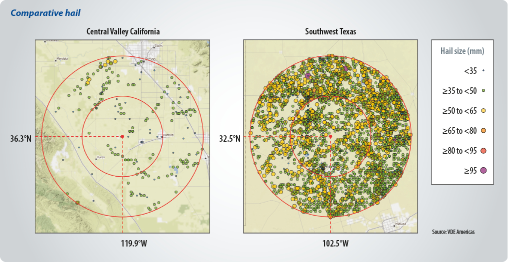 Weekend read: Navigating hailstorms – pv magazine International