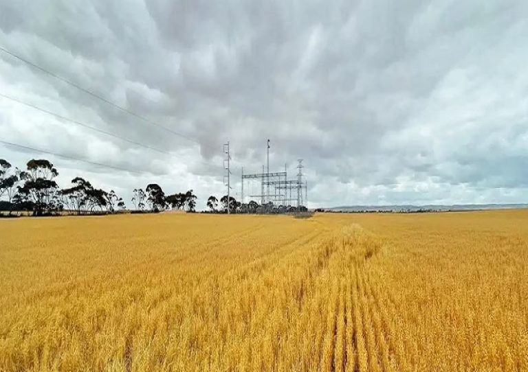 Neoen starts building fifth big battery in Australia – pv magazine ...