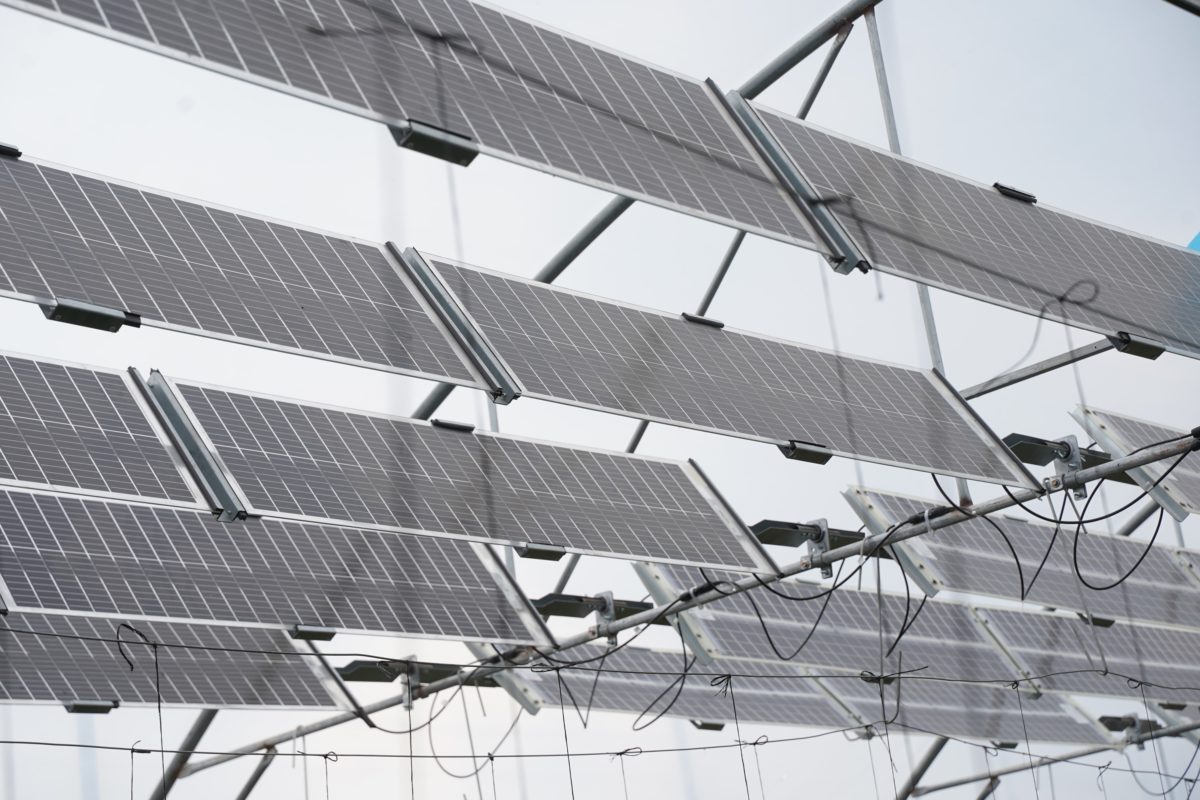 New agrivoltaic project to test crop-responsive PV trackers for ...