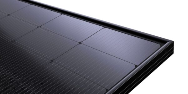 Winaico launches new 430 W n-type TOPCon solar module series – pv magazine International