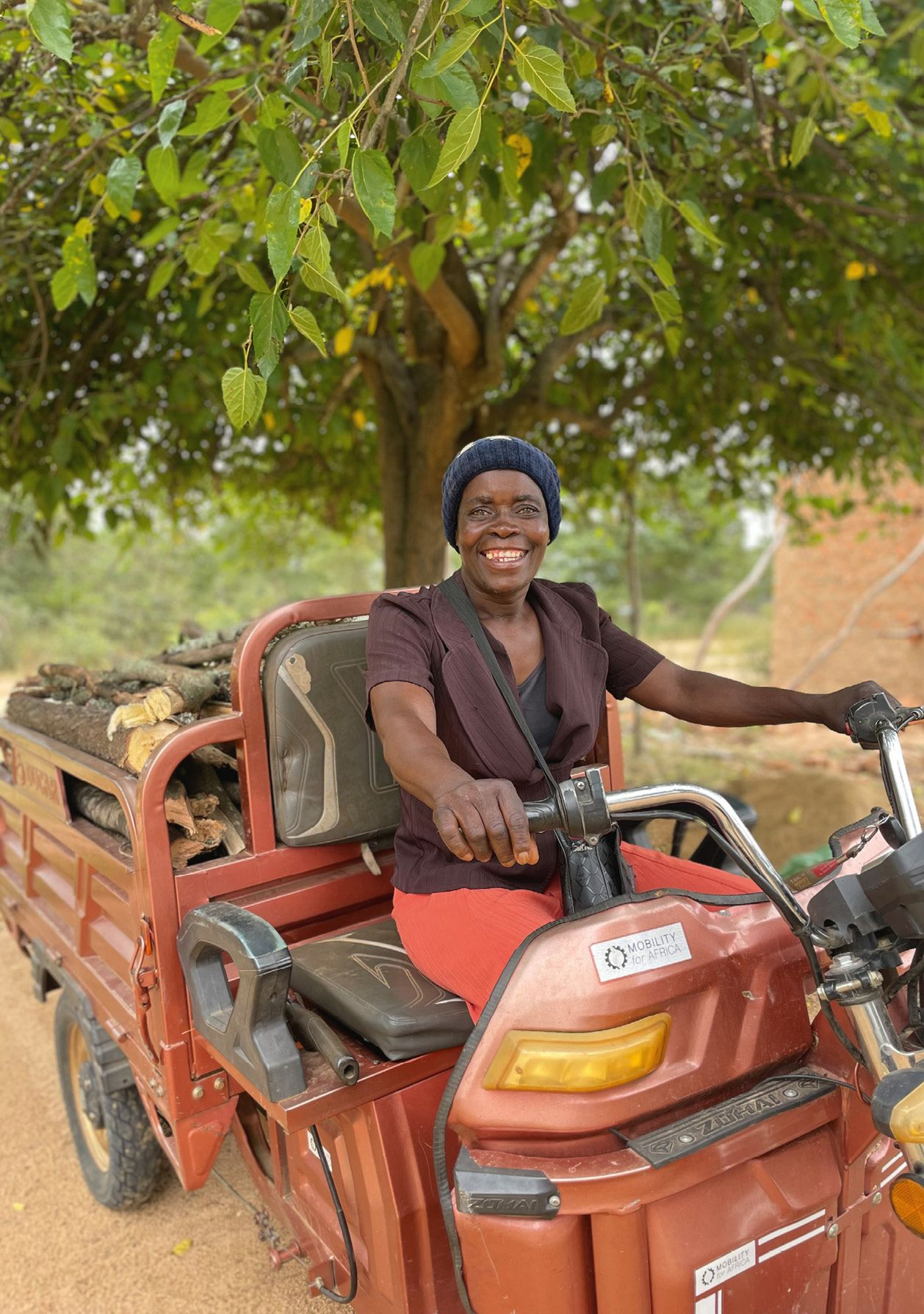 Weekend Read: Planning a Hamba-lution – pv magazine International