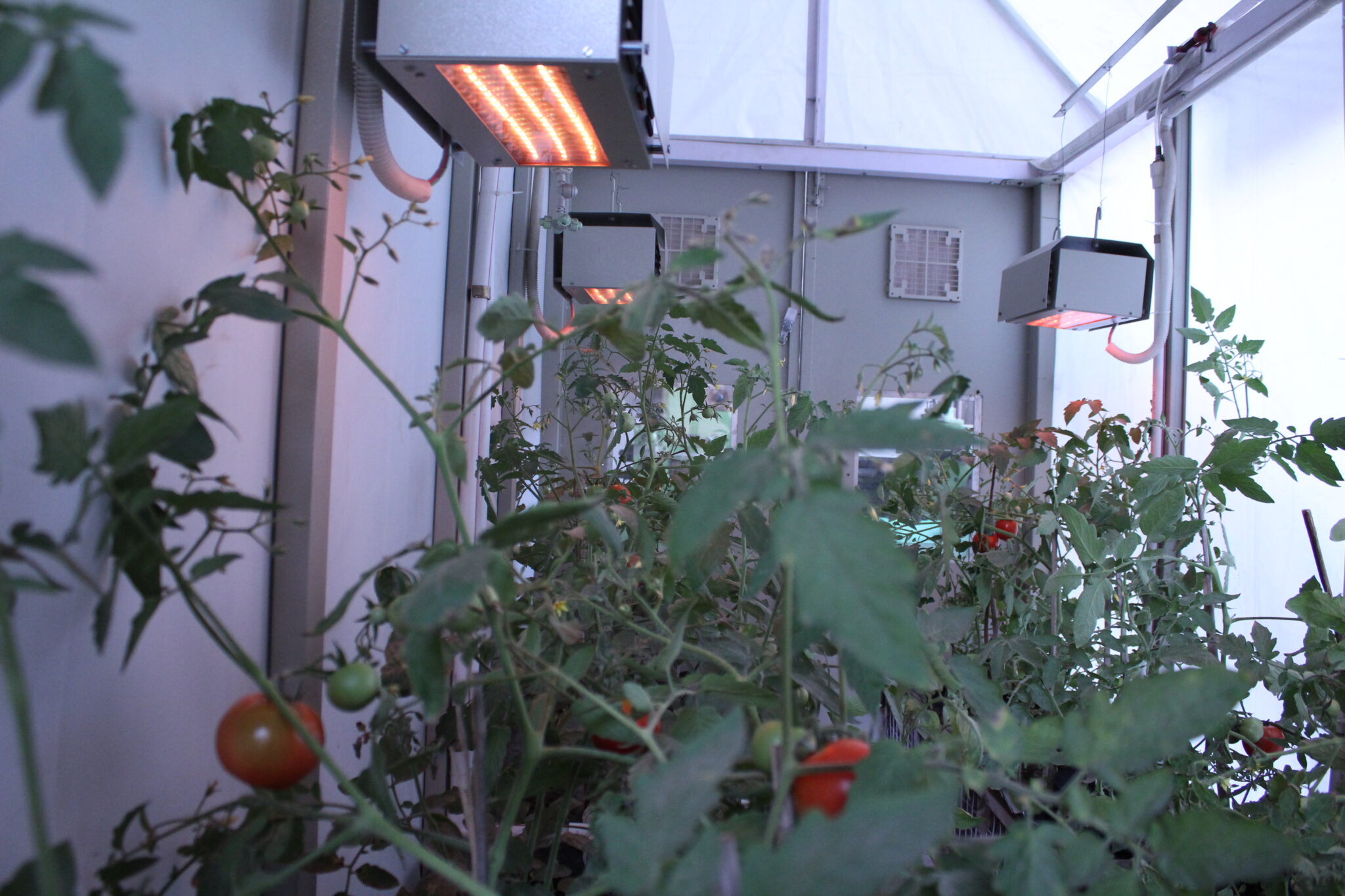 PV-driven controlled farming tech for non-electrified areas – pv ...