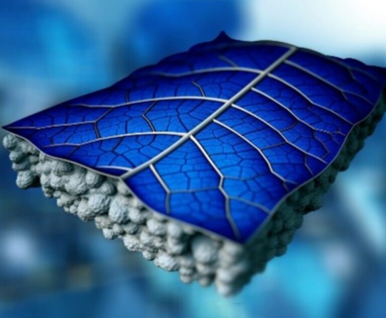 Multi-generation photovoltaic leaf to produce electricity, thermal ...