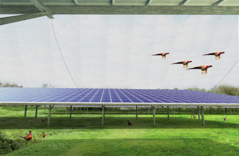 French energy supplier builds 10 MW solar aviary – pv magazine ...