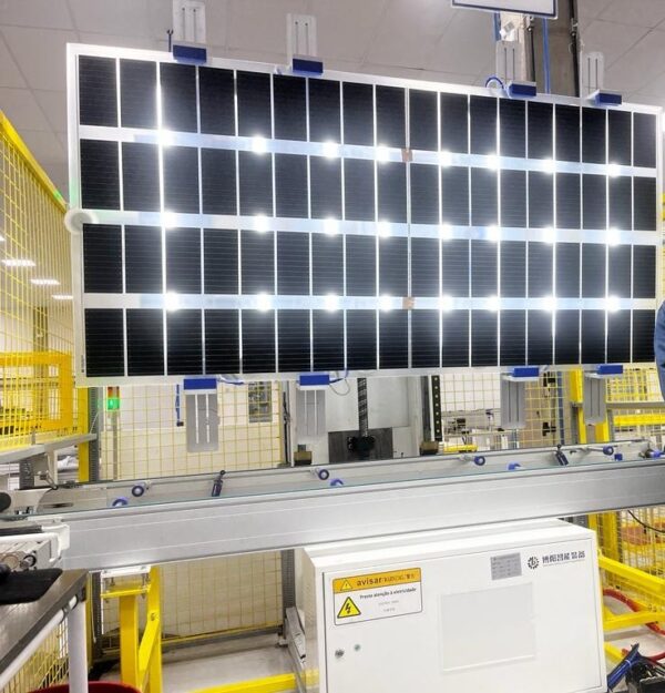 BYD unveils new agrivoltaics module – pv magazine International