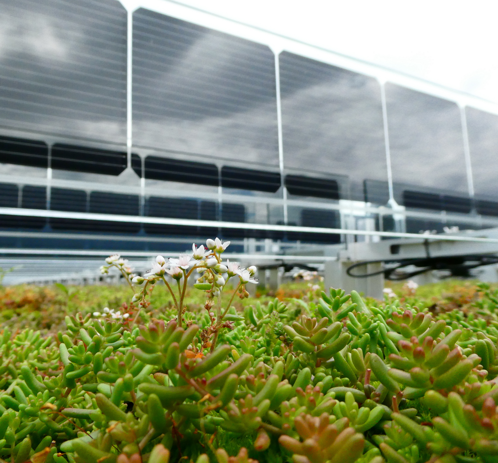 European research consortium aims to clear hurdles for BIPV adoption ...