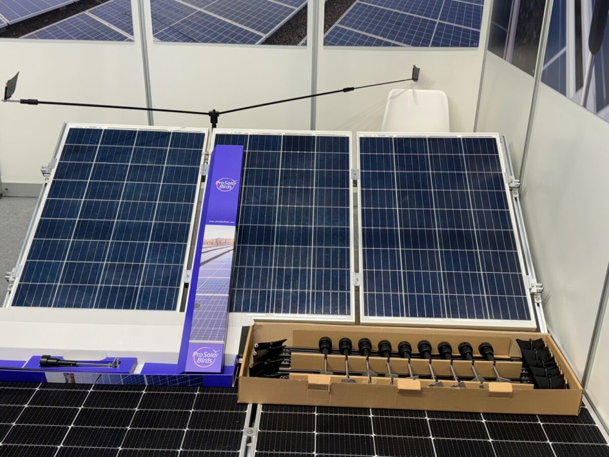 Spanish company offers harmless device protecting solar modules from ...