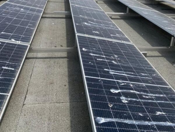 Modules & Upstream Manufacturing – pv magazine International