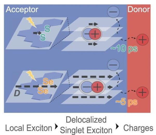 Non-fullerene organic solar cell with selenium acceptor achieves 19% ...