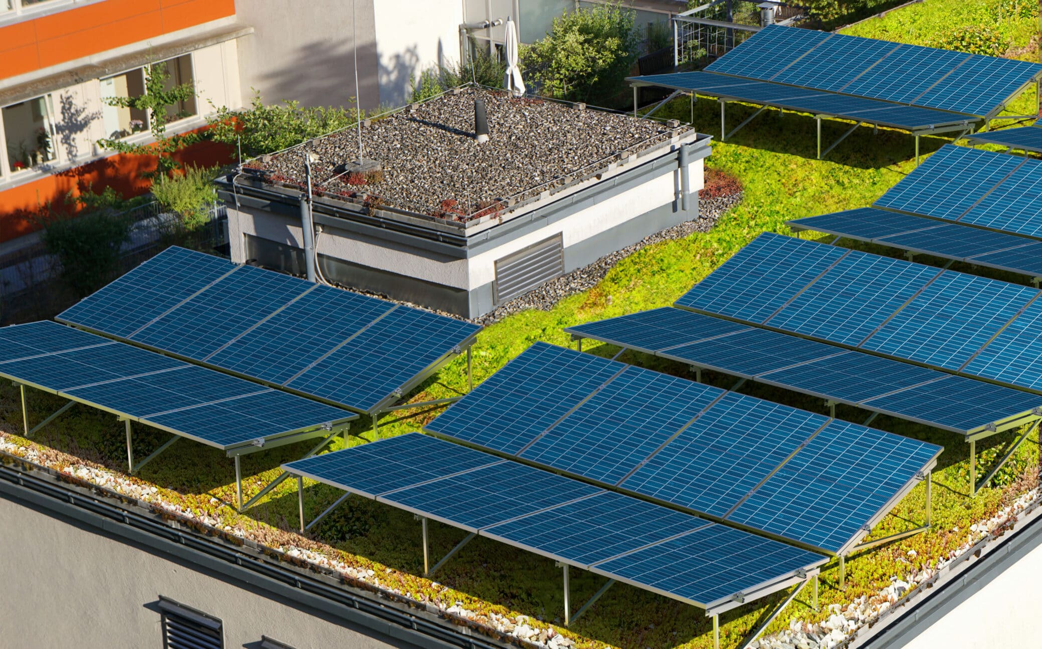 K2 Systems to offer mounting system for green solar roofs – pv magazine International