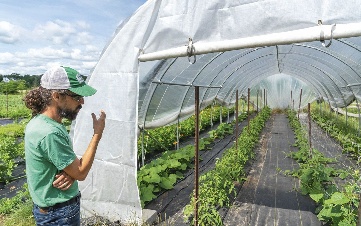 The greenhouse effect – pv magazine International