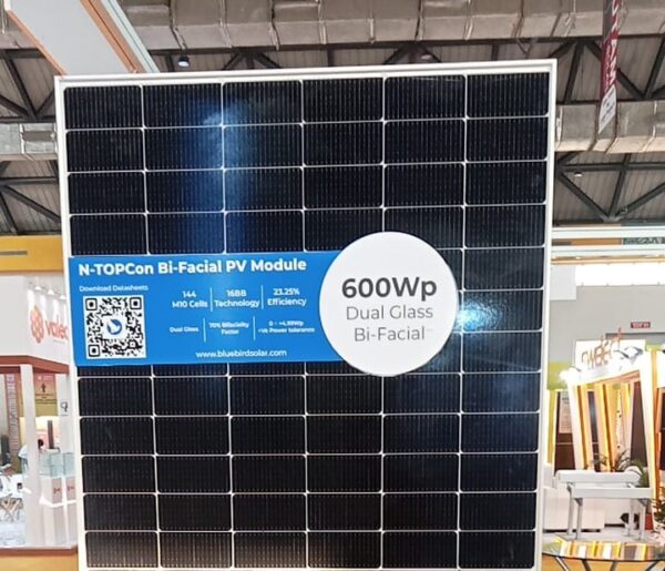 Bluebird Solar launches 600 W TOPCon dual-glass PV modules – pv ...