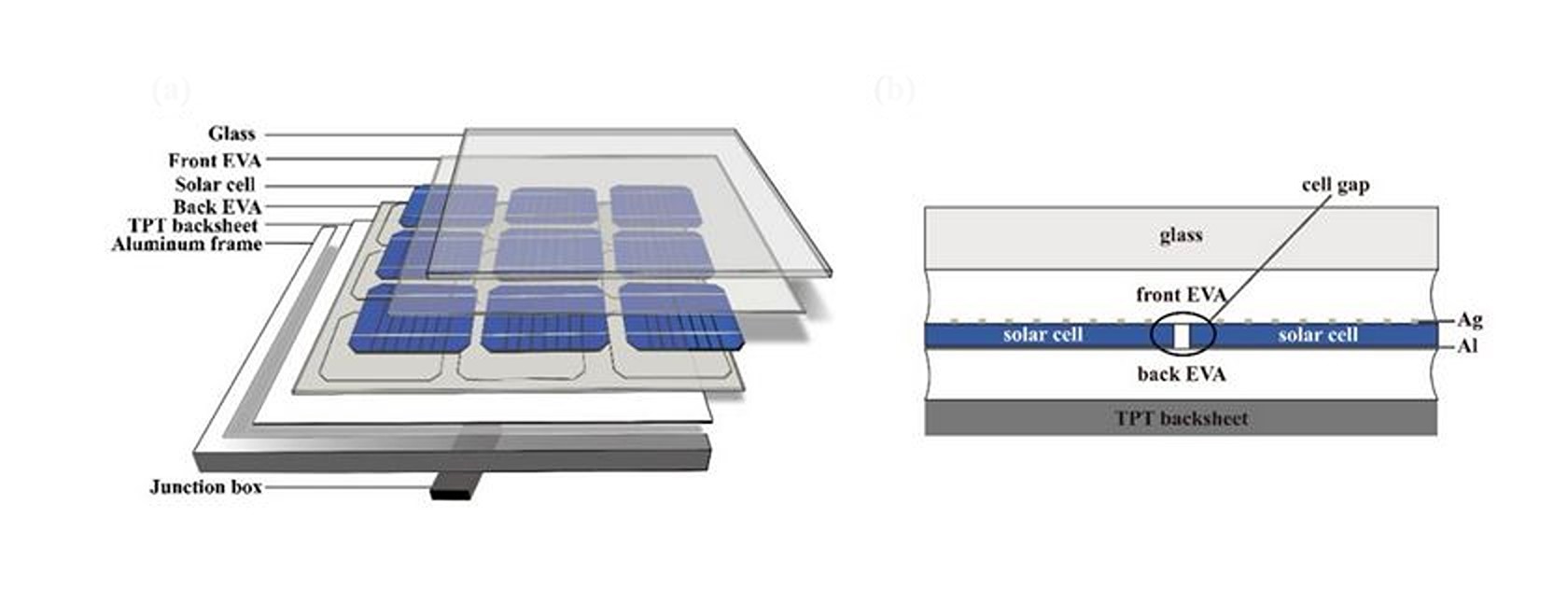 New decapsulation tech for solar module recycling - pv magazine Global